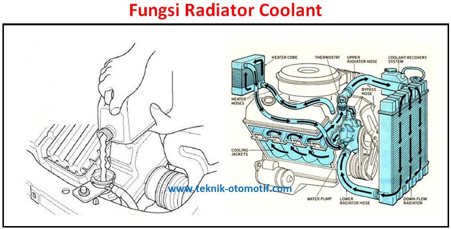 Fungsi Radiator Coolant Pada Sistem Pendingin | teknik-otomotif.com