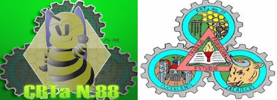 Centro de Bachillerato Tecnologico Agropecuario No. 88: CARRERAS Y ...