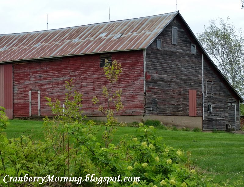 Cranberry Morning: Rusty Stuff and Wisconsin Barns