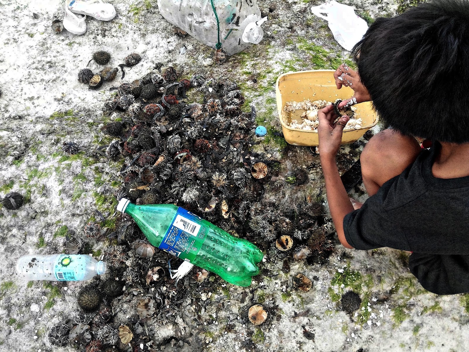 Introvert Travels: Badian's Lambug Beach and Kansanto Spring