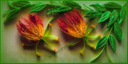 Anastasia (Annie) Wahalatantiri: Niyagala Flower better known as Glory Lily