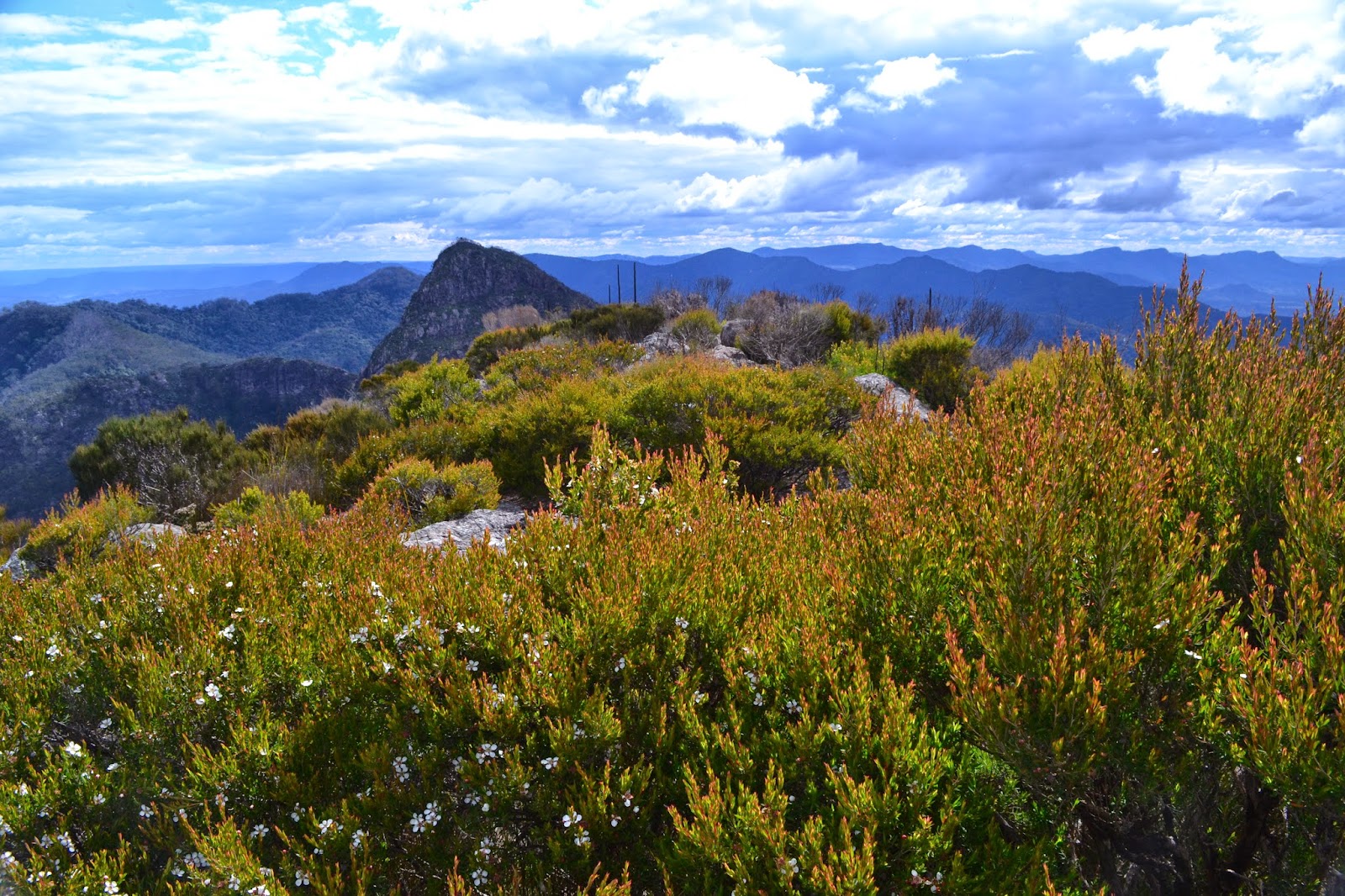 Goin' Feral One Day At A Time: Mount Barney circuit, Mount Barney ...