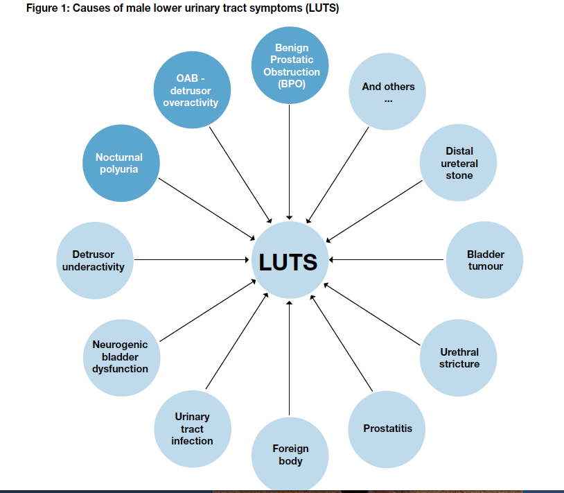 Male LUTS: MALE LUTS EAU GUIDELINES
