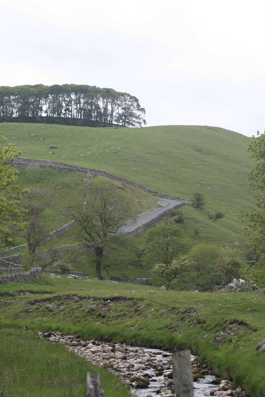 100 hills for George: Hill no 61 – 45 Park Rash