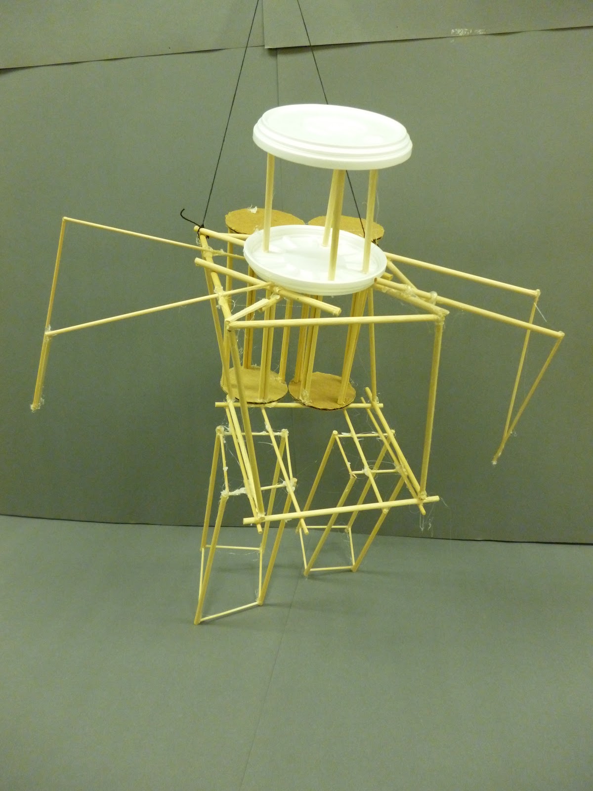 Leonardo Da Vinci Flying Machines