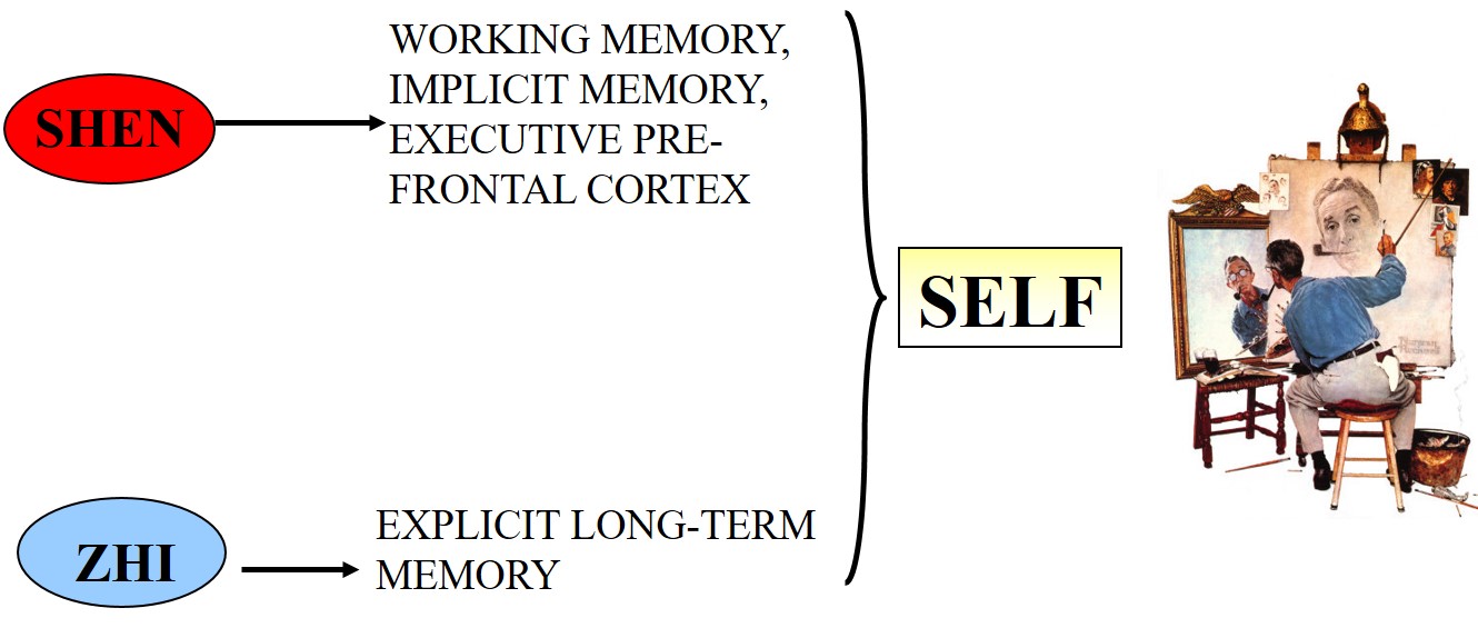 Maciocia Online: MEMORY IN CHINESE MEDICINE
