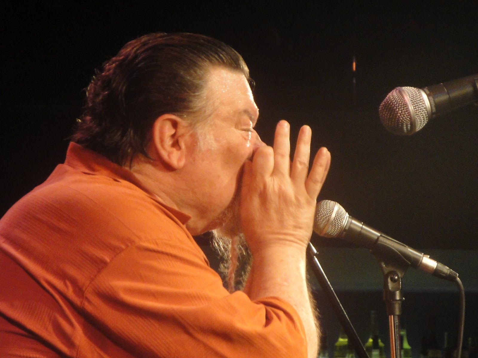 MALBEC & BLUES: El peregrino