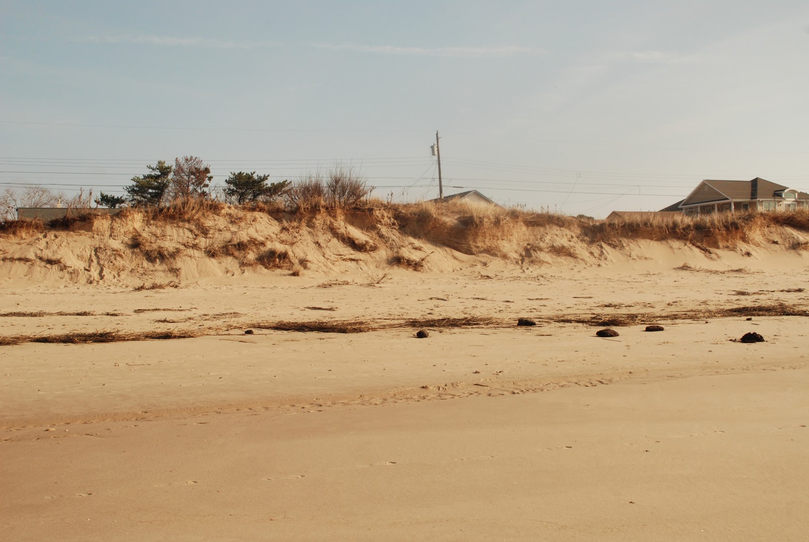 Margaret Montet: This is what low tide looks like in winter
