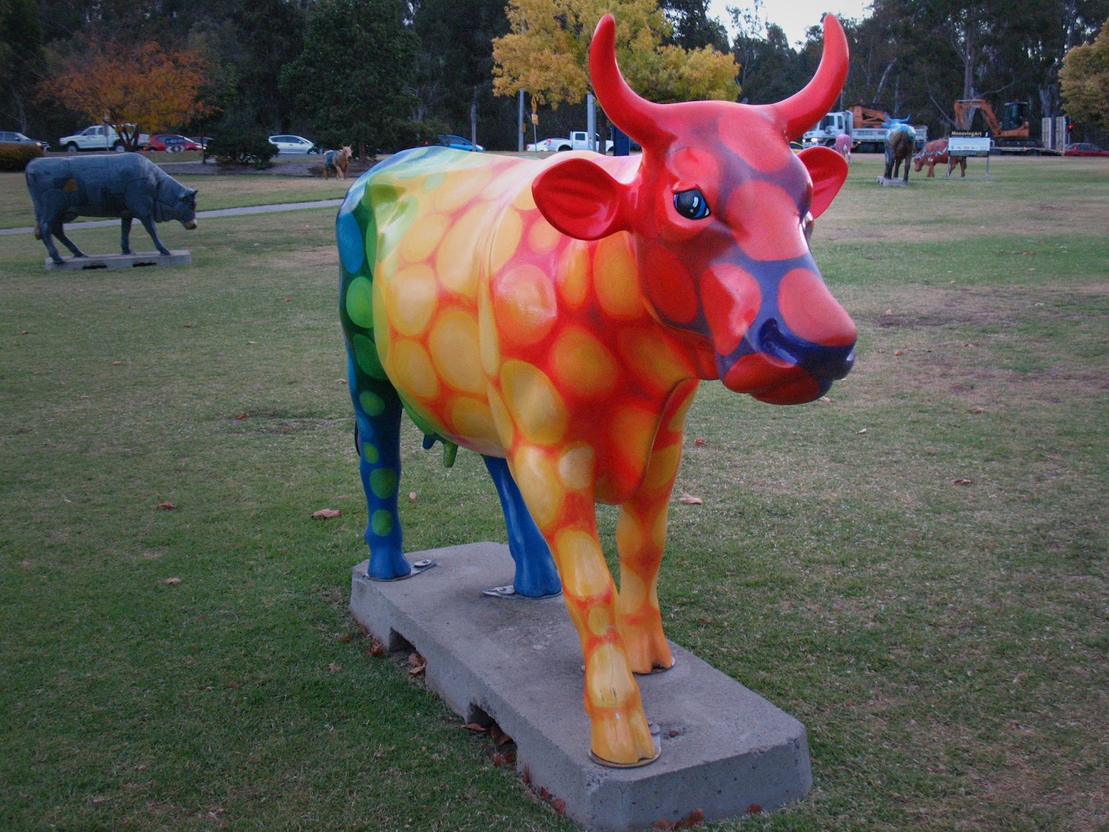 The amazing adventures of Cazzbo: More Shepparton Cows