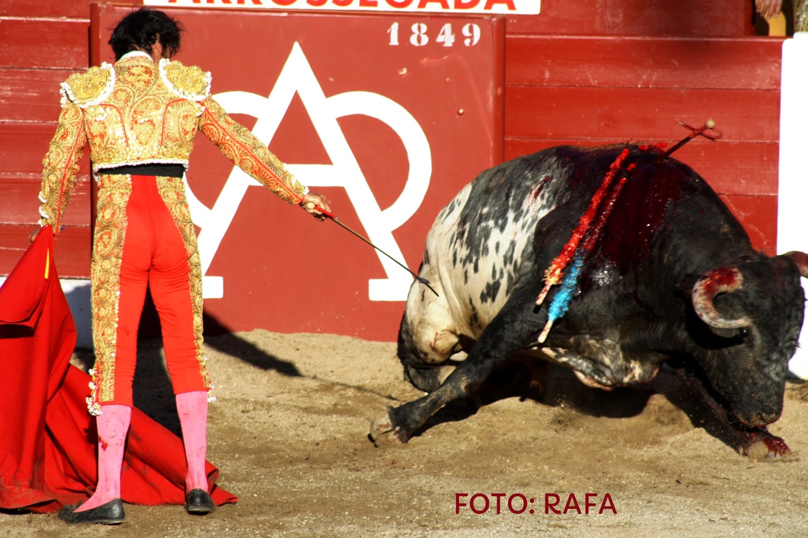 Toreo en Red Hondo: CÉRET DE TOROS, 2017 (1): MIURA