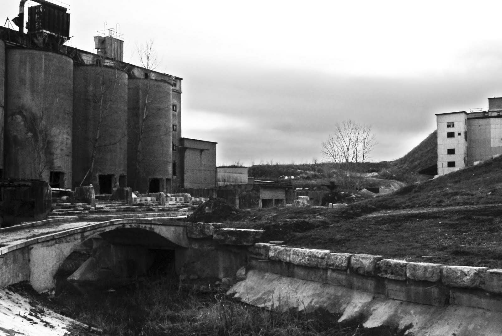 Cynosure: Cementland: