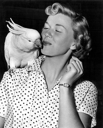 Classics By The Sea: Famous People With Parrots