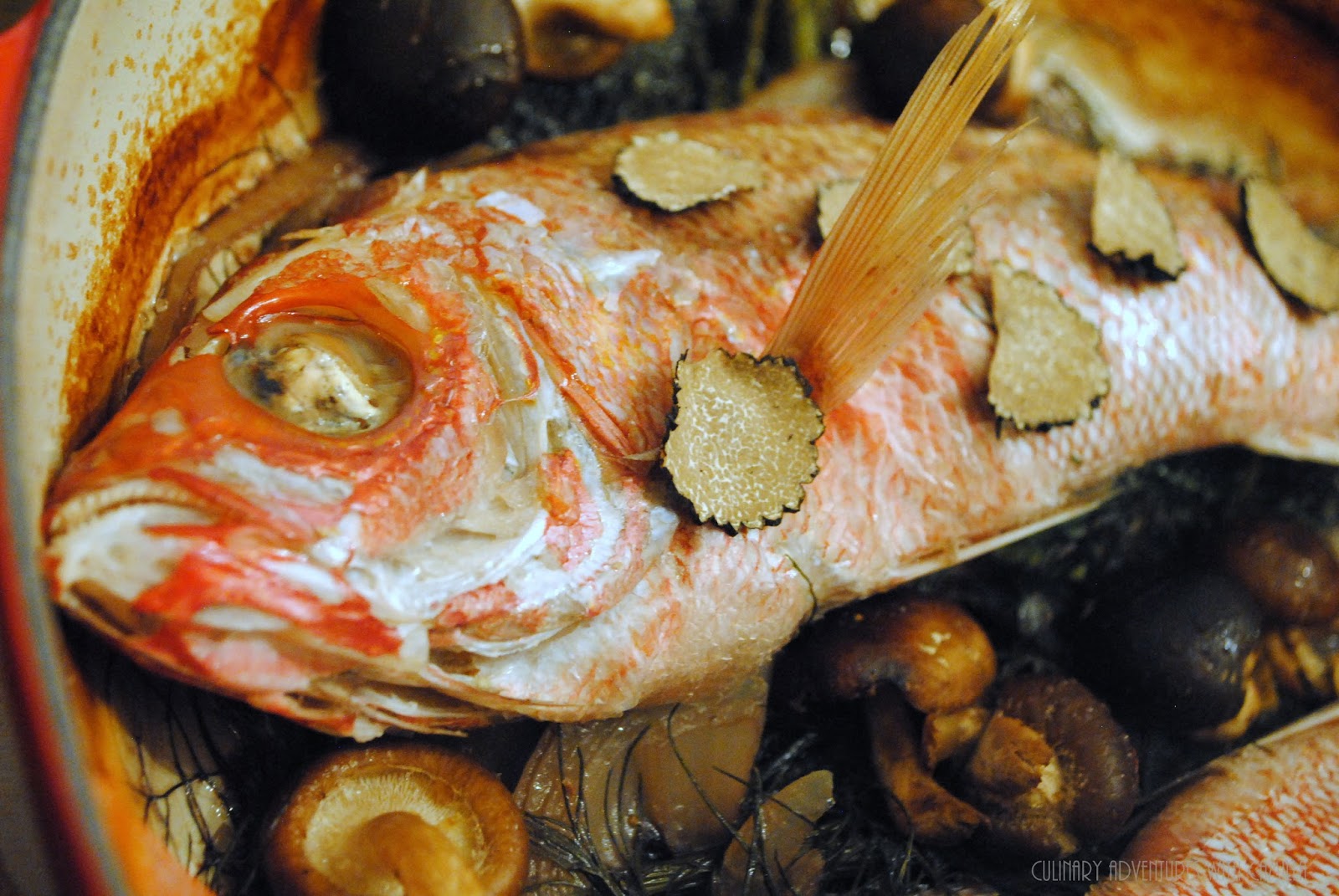 Truffles, a Whole Fish, & Barolo #ItalianFWT