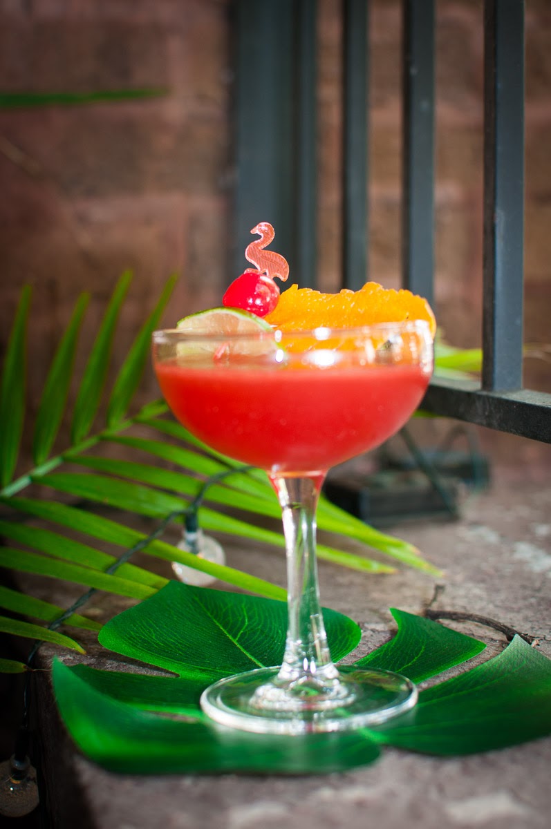 Garnishes The Size of Your Head: An Exotic Cocktail Journey: Cocktail ...