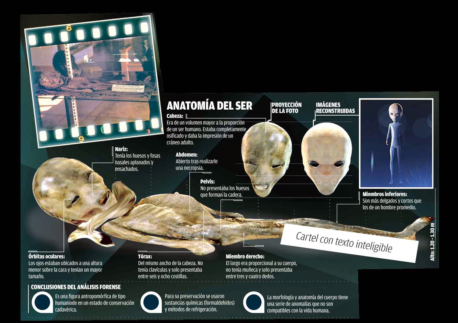 El Rincon Paranormal: El extraterrestre de Jamie Maussán: El verdadero ...