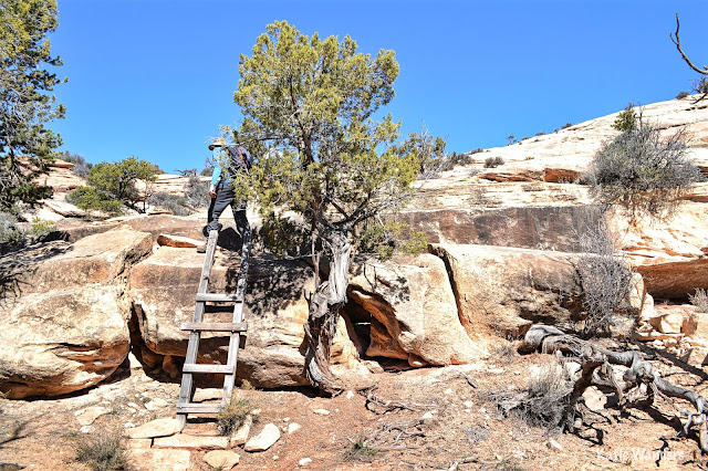 Katie Wanders : Moki Dugway and Natural Bridges National Monument