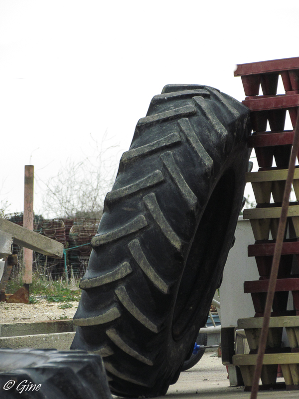 Les images de Gine: Accoté