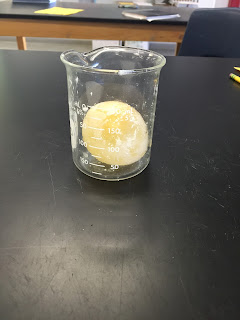 Ananya's Biology Blog: Egg Diffusion Lab