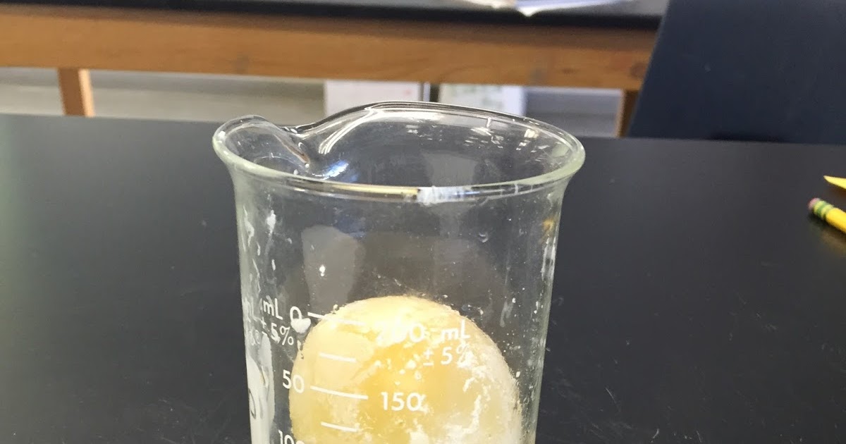 Ananya's Biology Blog: Egg Diffusion Lab