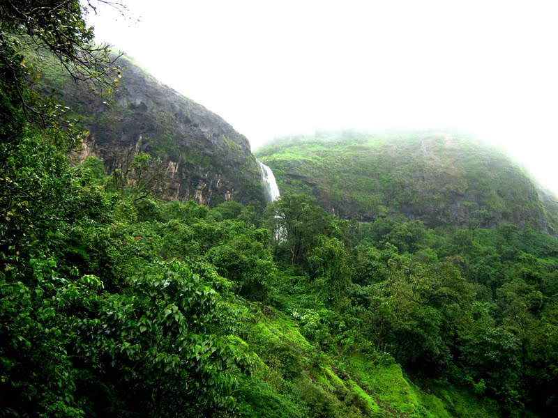Travelogue Unlimited: Tamhini ghat : Photos