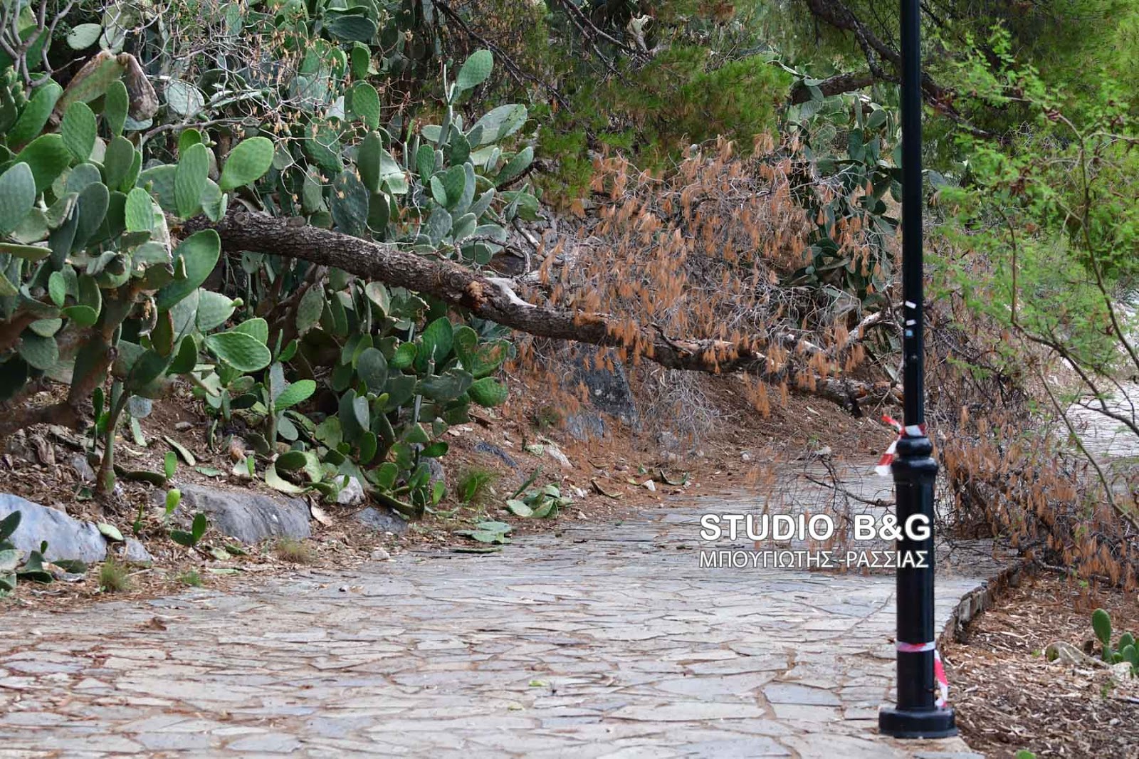 Αργολικός Ποιμήν: ΝΑΥΠΛΙΟ- ΣΥΝΕΧΙΖΟΝΤΑΙ ΟΙ ΚΑΤΟΛΙΣΘΗΣΕΙΣ ΣΤΗΝ ΠΑΡΑΛΙΑ ...