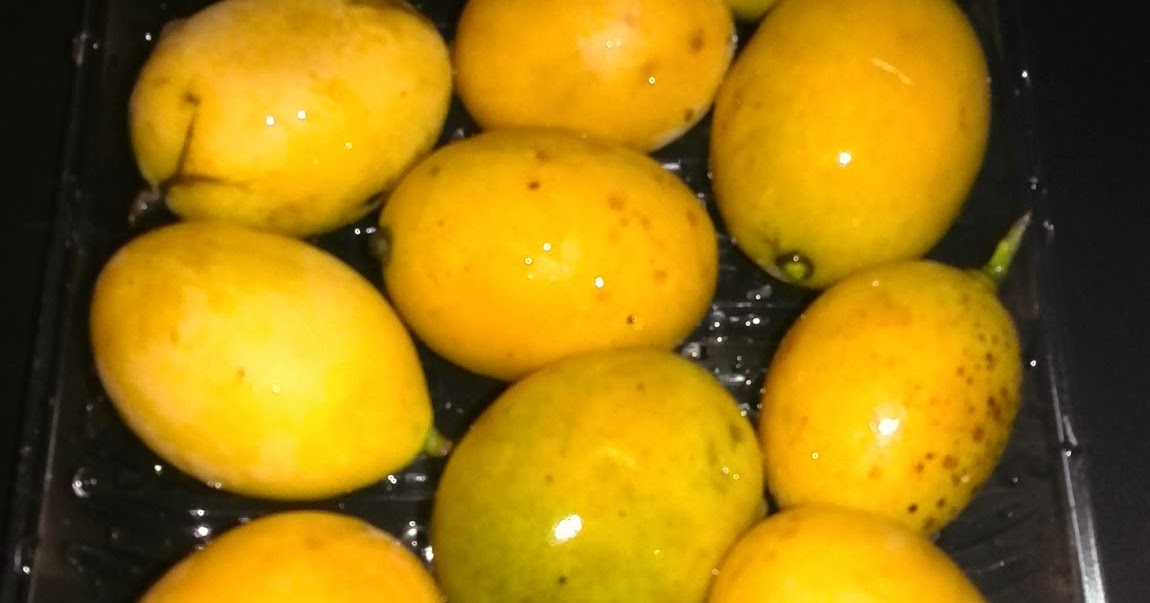 namakucella: BUAH KUNDANG a.k.a GHEMIA SIAM