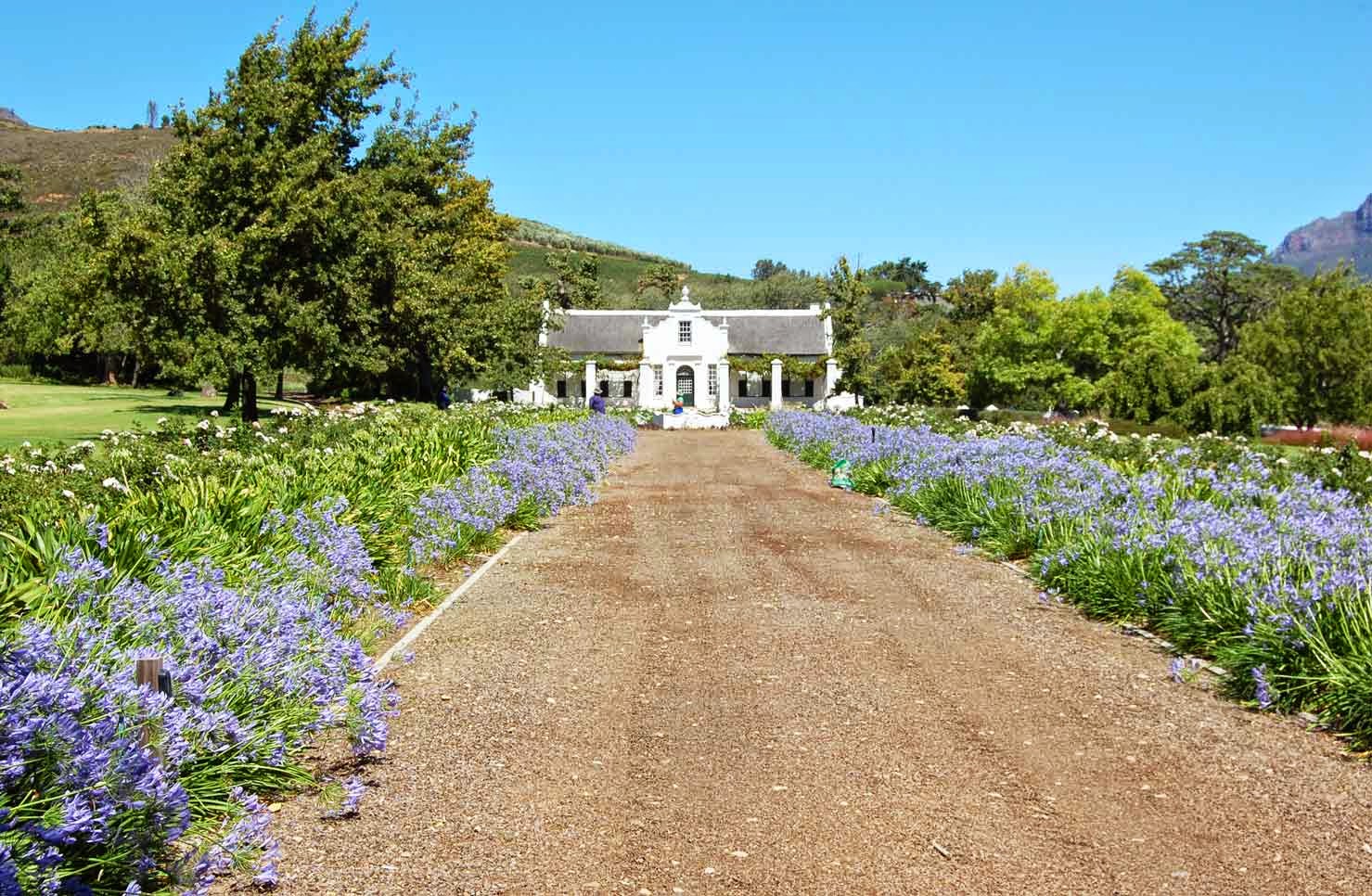 .: A visit to Anthonij Rupert Wines