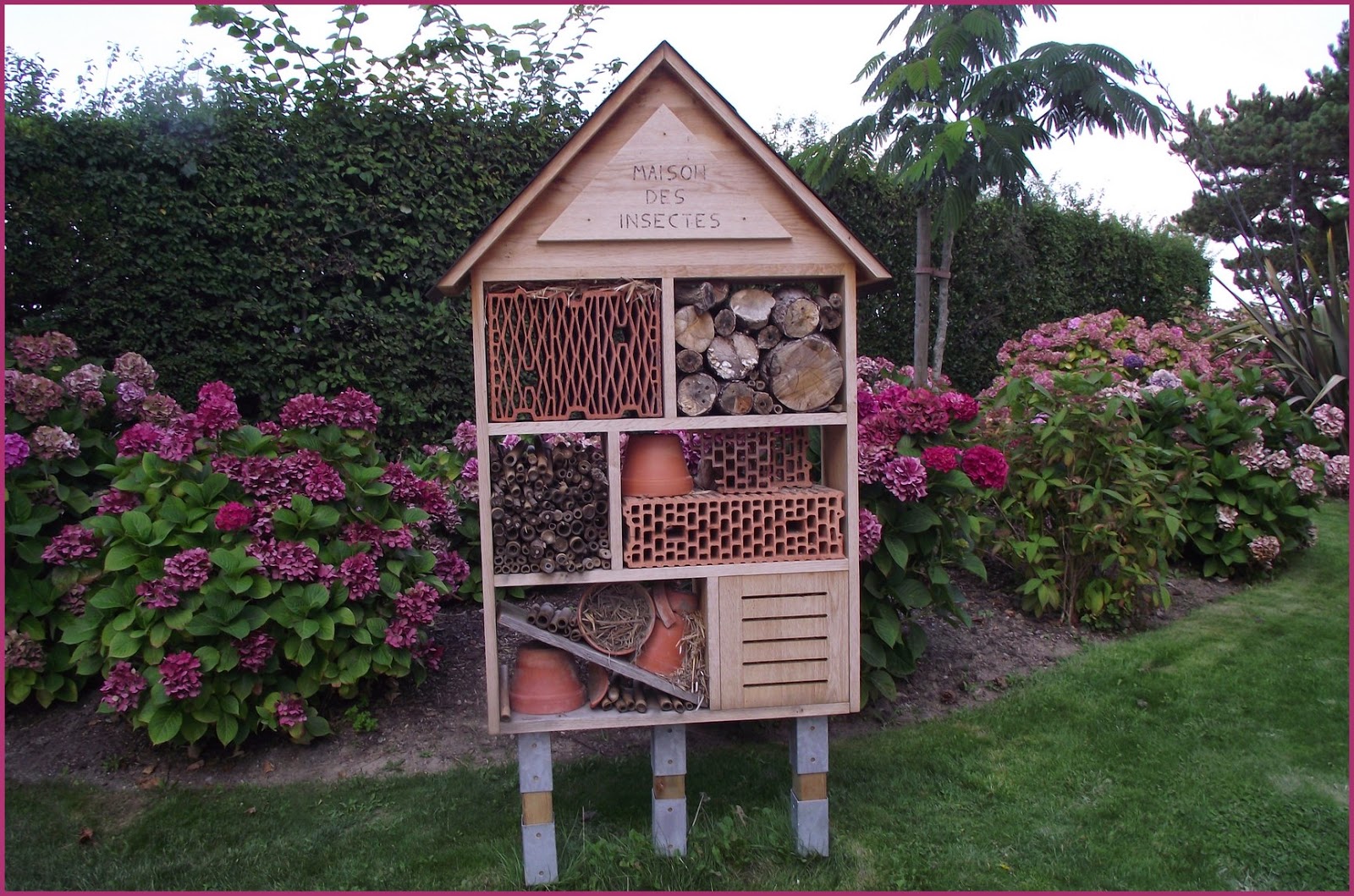 pigeonnieresplendy2: Maison ou hôtel pour les insectes