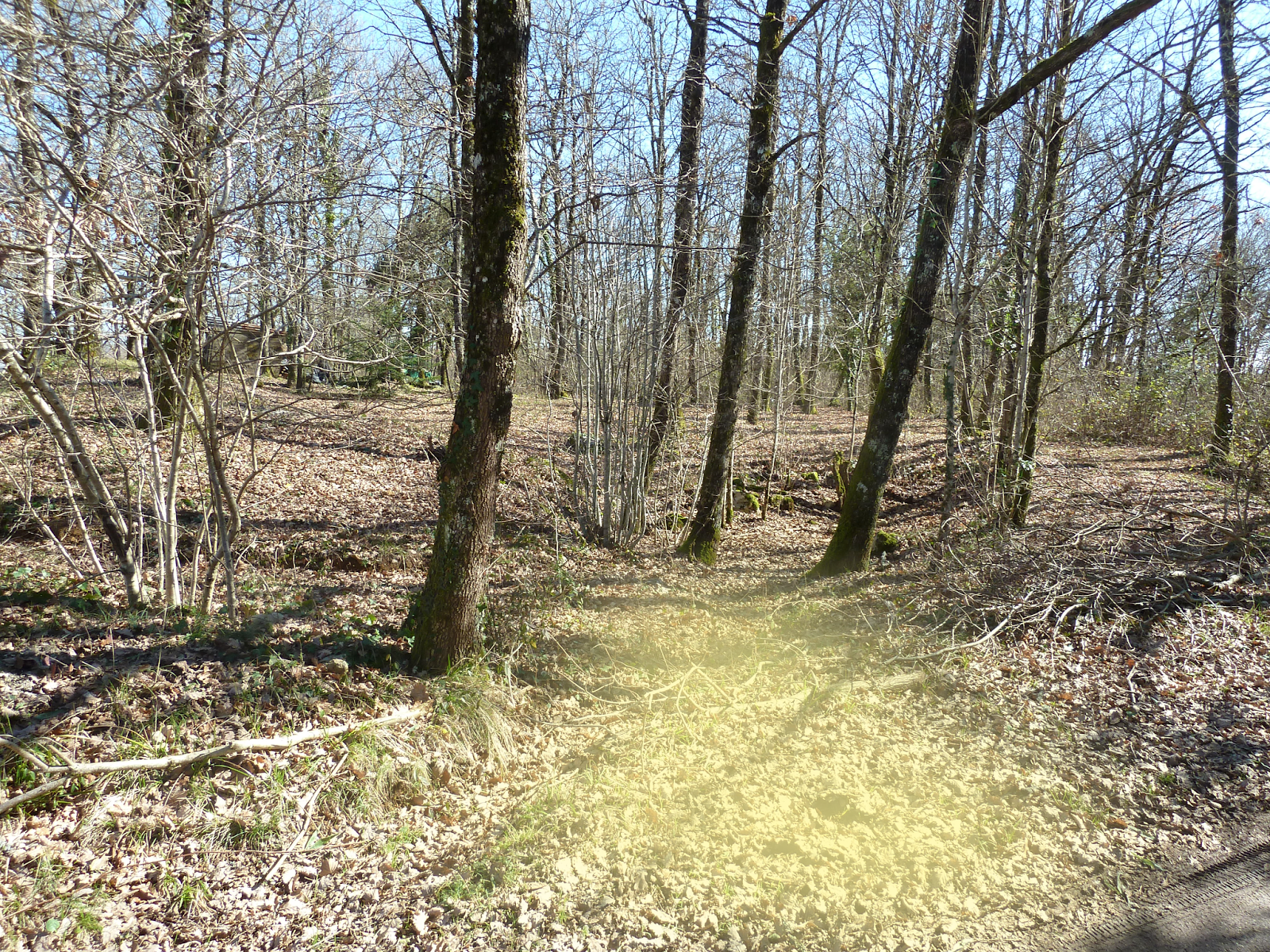 Un vrai champ de mines à Puycelsi | Centre archéologique des pays albigeois