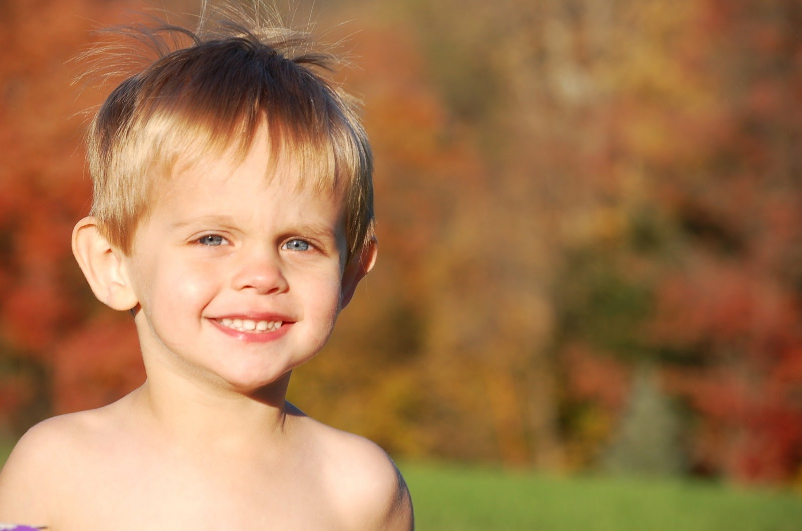 The Buddy Bee Makes Three: Buddy Bee is a 27 Month Bee