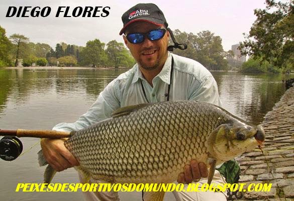 PEIXES DESPORTIVOS DO MUNDO: O CURIMBATÁ - Prochilodus lineatus ...