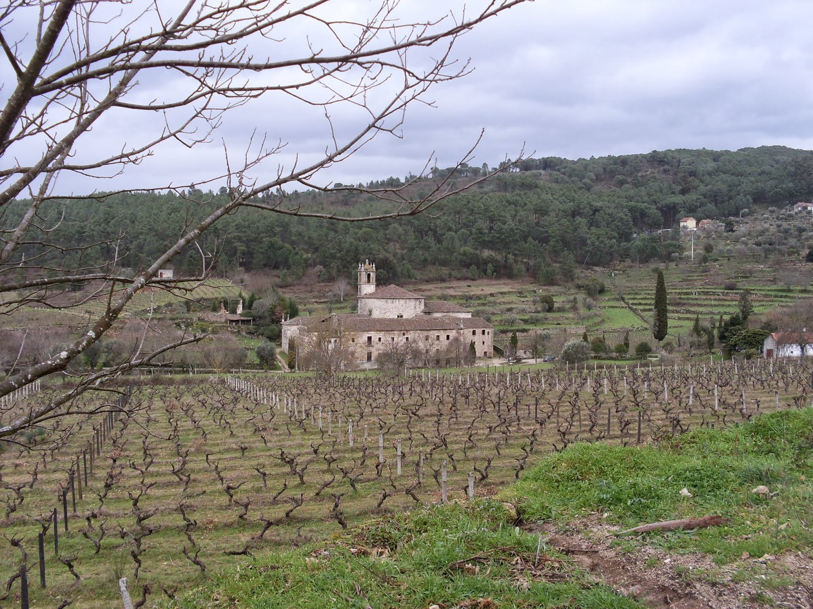 Portugal Cristalino: Maceira Dão - Mosteiro cisterciense de Santa Maria ...