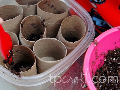 TPcraft.com: Spring Toilet Paper Roll Crafts