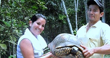 PLAAN : Tortuga Motelo - Chelonoidis denticulata