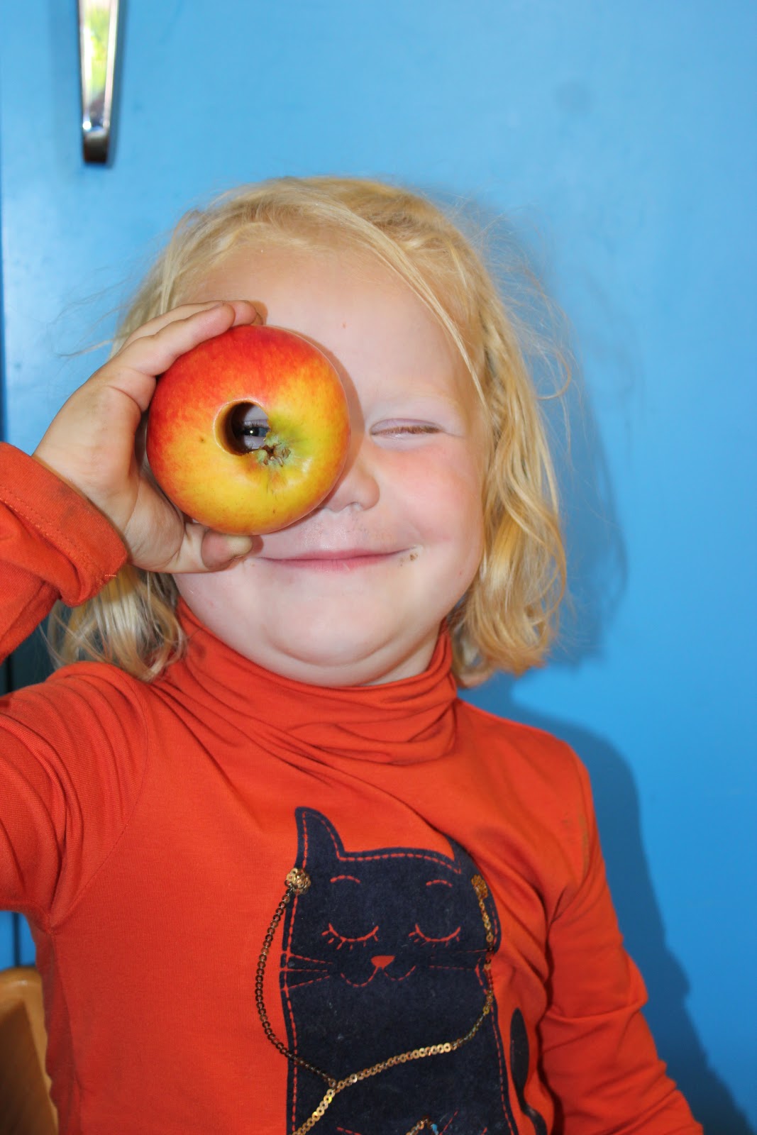 welkom in de Julesklas: THEMA FRUIT: APPELTJE ROND