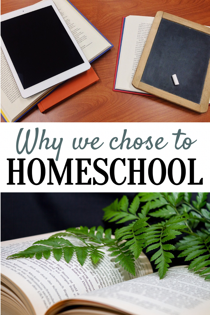Why We Chose to Homeschool