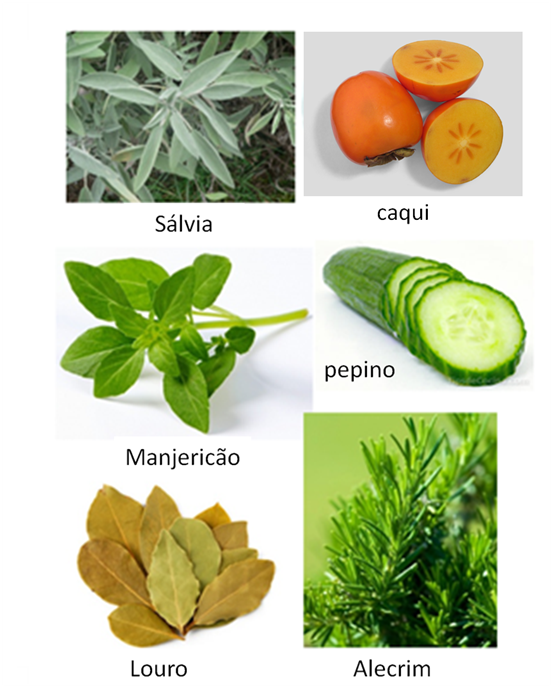 Saúde & Ciência: FISETINA e a FAMÍLIA FLAVONÓIDE