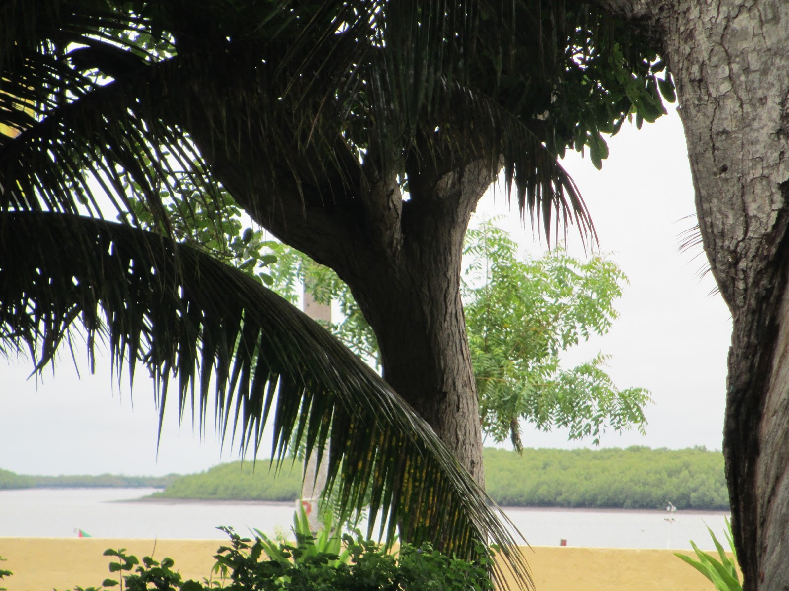 Vinte e Sete Meses em Moçambique : Pictures of Quelimane, Mozambique