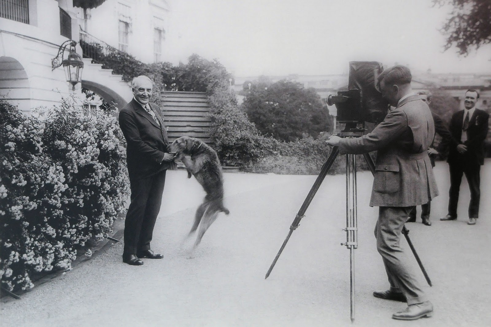 Images and More: Passed Presidents - # 29 – Warren G. Harding