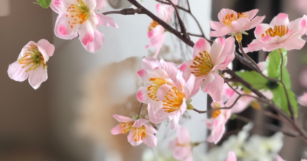 DesignsandEvents: Adding Touches of Spring to My Home