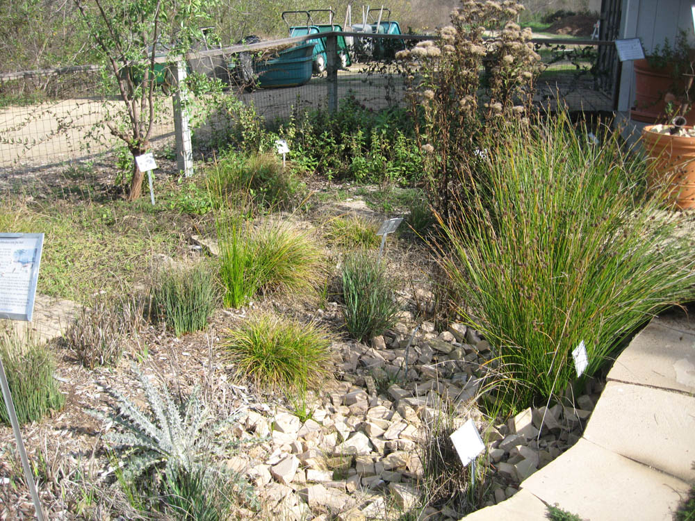 Mother Nature's Backyard - A Water-wise Garden: Preparing for (El Niño ...