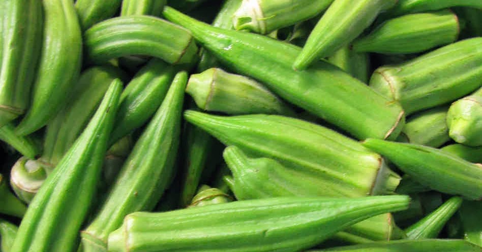 KILIMO BORA CHA BAMIA SEHEMU YA 01 - KILIMO BORA