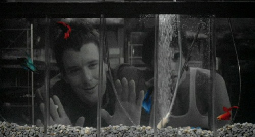 Berryman's movie blog: Rumble Fish - Francis Ford Coppola - 1983