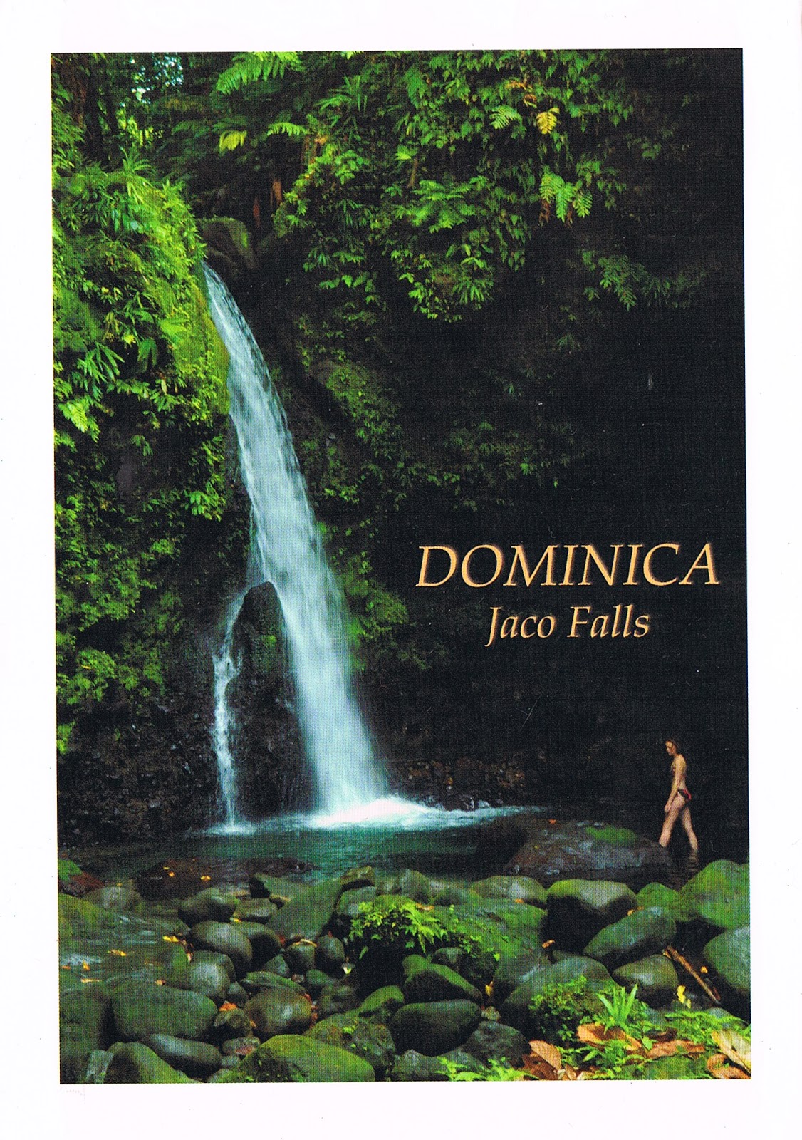 Postcards In My Mailbox Postcard From Dominica Postcards In My Mailbox Postcard From Dominica