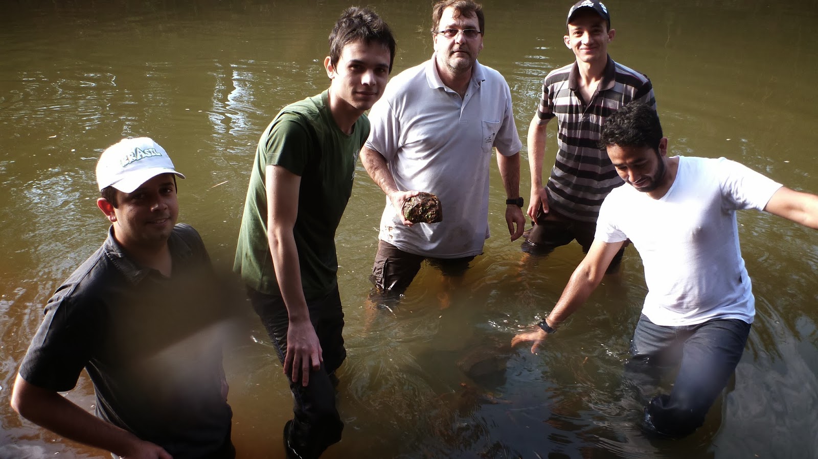 Distribuição de Esponjas Continentais no Baixo Curso do Rio da Bulha