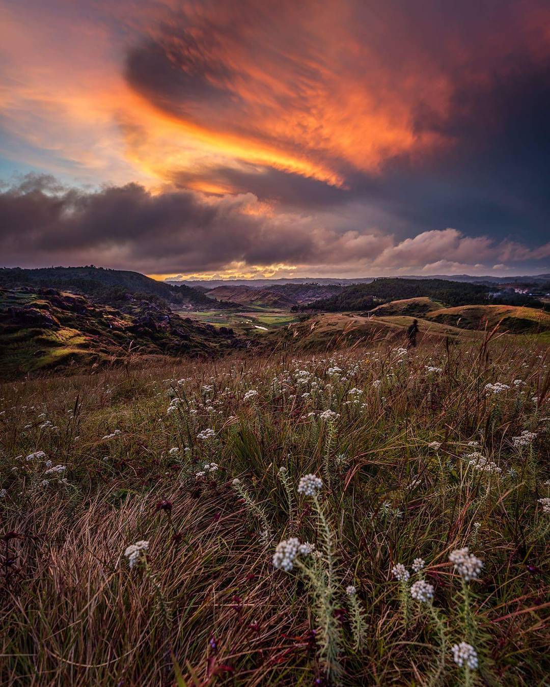 Manipur National Park and Wildlife Sanctuary