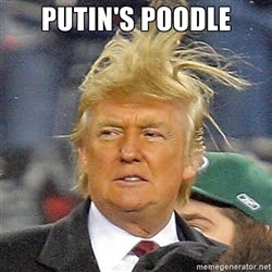 Progressive Eruptions: PUTIN'S POODLE