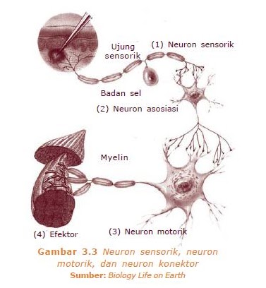 Komunitas Blogger Kelas 9E