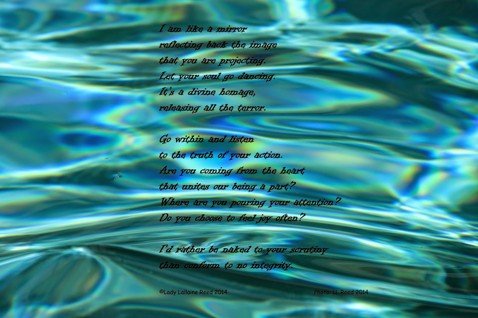 Lady Lallaine Reed's Positive