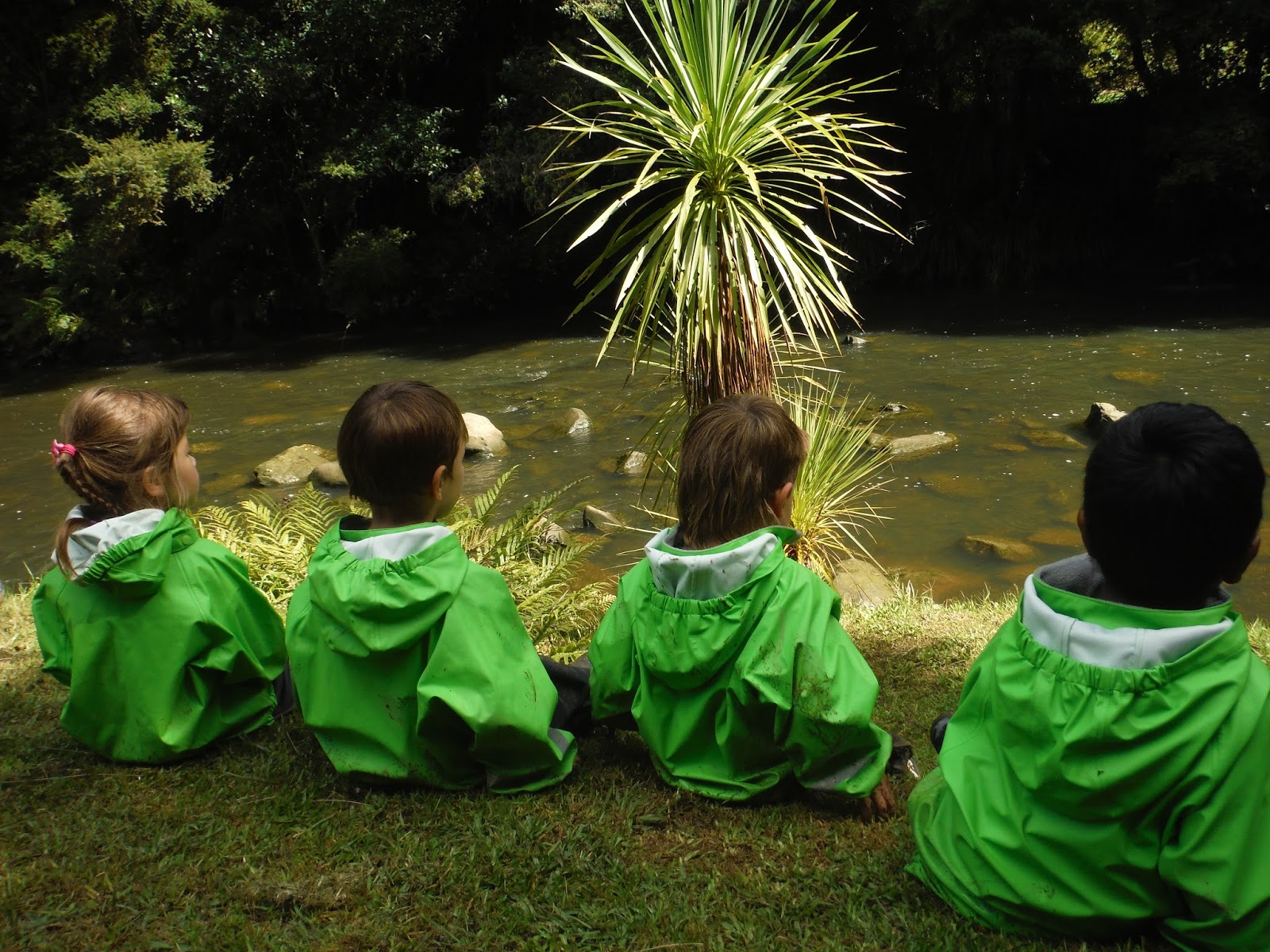 Mairtown Kindergarten: Our first Nature Programme for the year